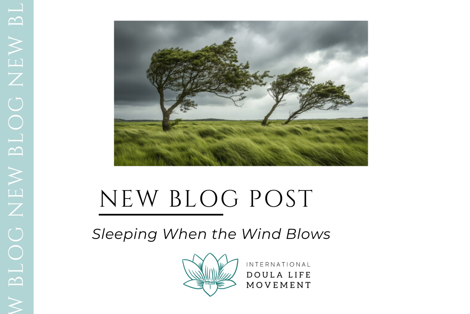 When the Wind Blows - International Doula Life Movement